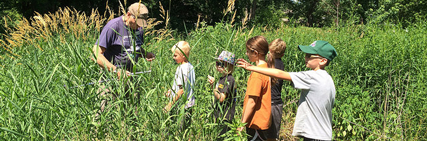 Lincoln Marsh Natural Area – Discover Lincoln Marsh