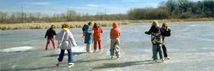 Lincoln Marsh Natural Area – Discover Lincoln Marsh
