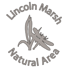 Lincoln Marsh Natural Area – Discover Lincoln Marsh